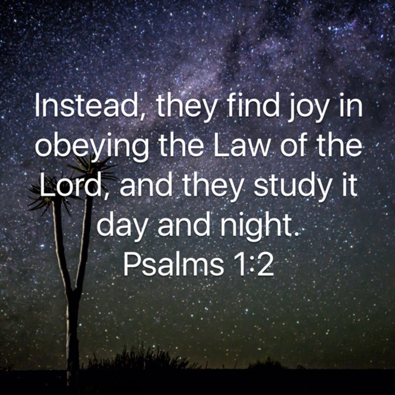 Psalm 1